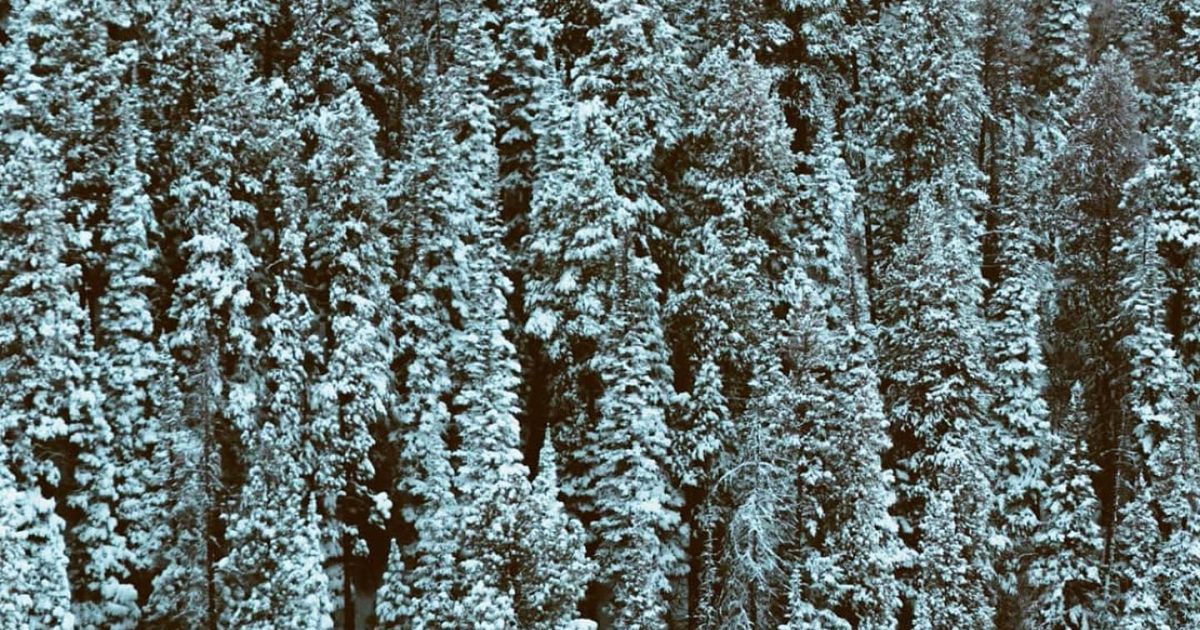 5 Fun Things to Do in the Snow in Casper, WY | 5150 Local | Visit Casper