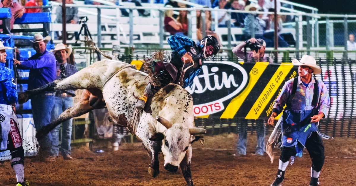 Central Wyoming Fair & Rodeo in Casper | July 7-15, 2023 | Visit Casper